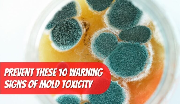 10 Warning Signs of Mold Toxicity: What You Need to Know - Cafelam