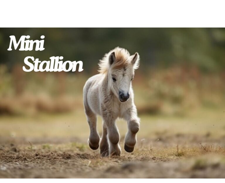 Mini Stallion: The Ultimate Guide to Owning and Caring for Miniature Horses